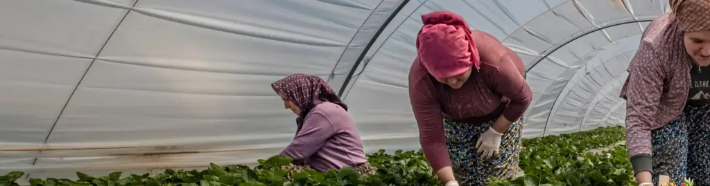 Polyethylene - PE - RAI -GLOBAL DISTRIBUTORS OF POLYMERS