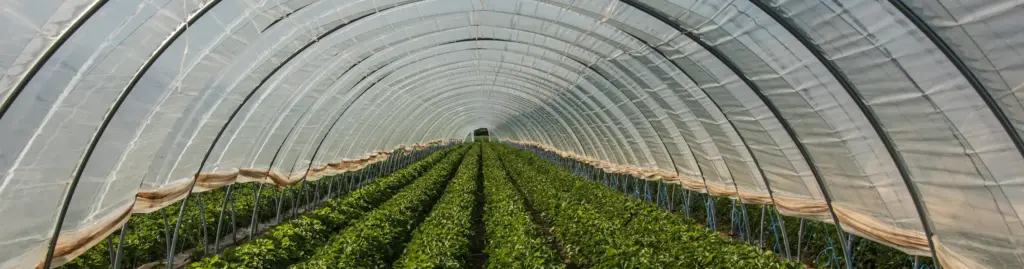 LDPE, LLDPE, HDPE Distributor, Supplier in Dubai, UAE - RAI International